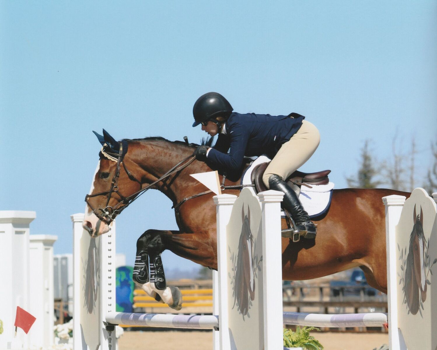 Premier Hunter/Jumper Training | Bay Area, CA - Clean Flight Equestrian